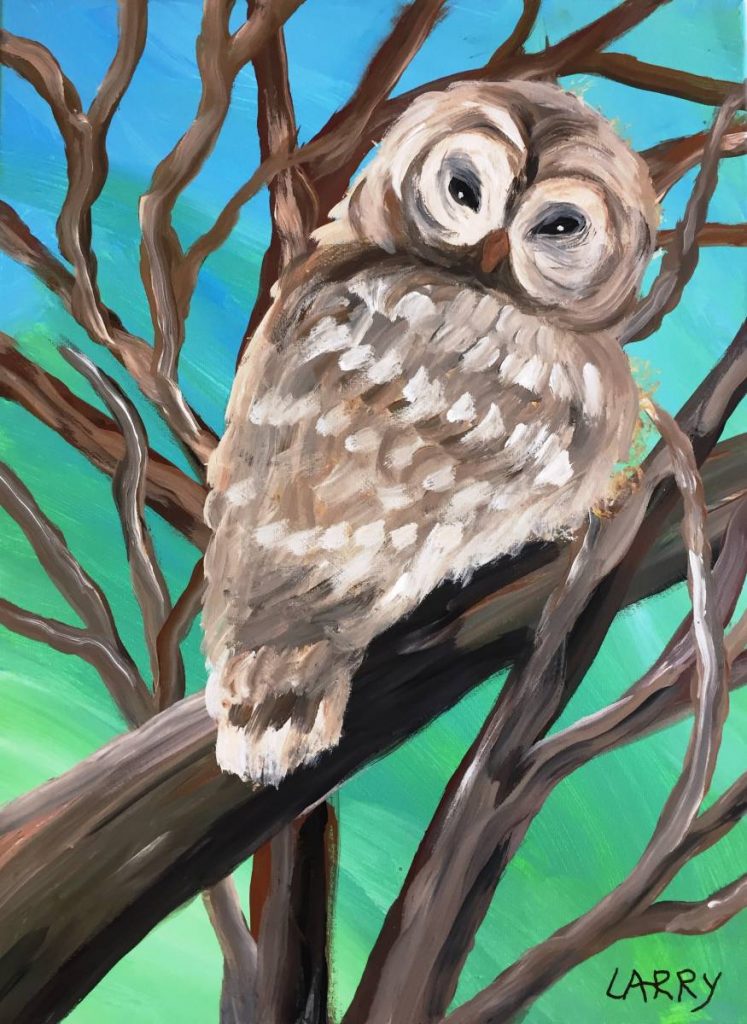 Owl by Larry Olson | SMART Inc., Artists